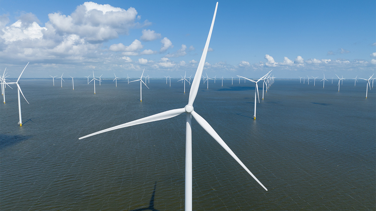 Negative Bidding Continues to Burden Offshore Wind Development ...