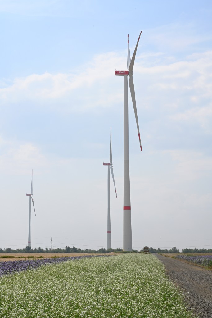 Envision Energy Partners With Juniper Green Energy To Supply 1 GW Wind ...