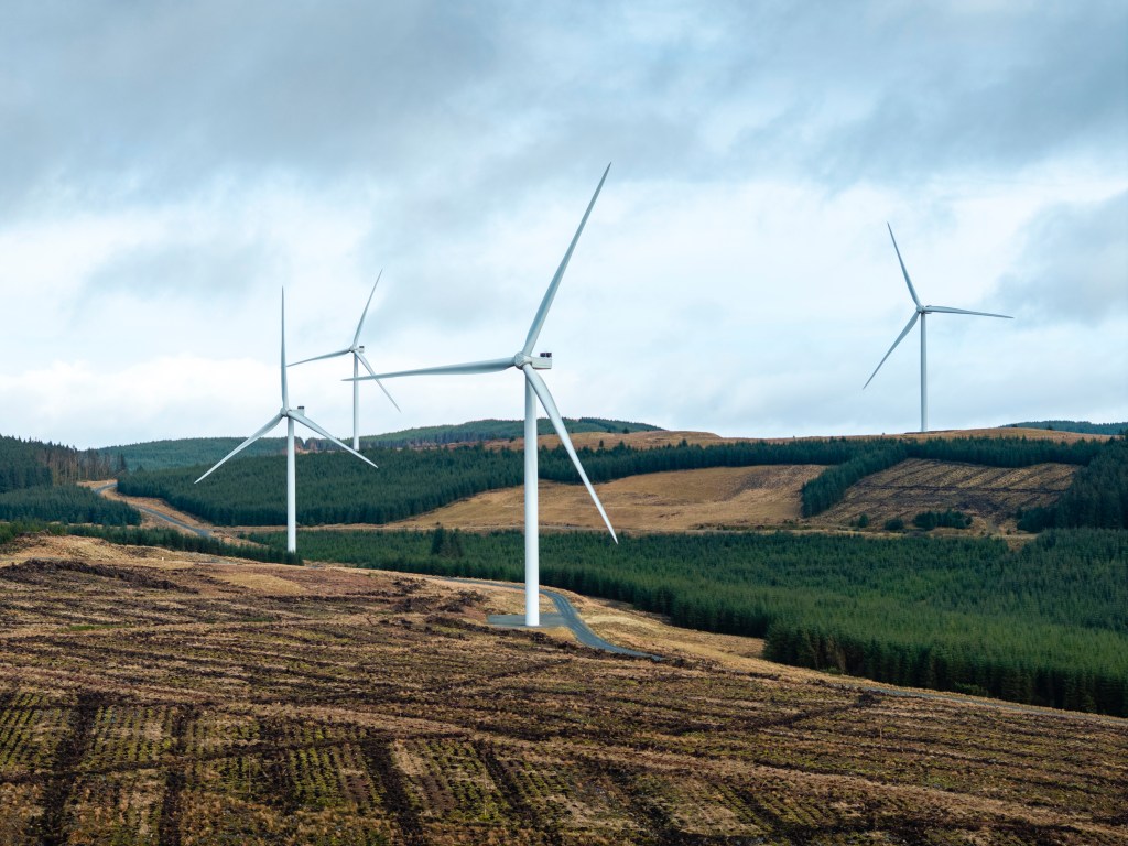 SJVN Invites Bids For 600 MW ISTS-Connected Wind Power Projects With ...