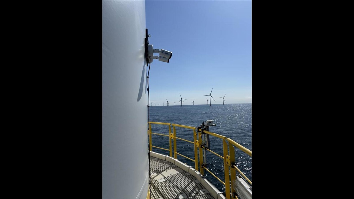 RWE’s Kaskasi Wind Farm Launches Next-Gen Ecosystem Monitoring with ...